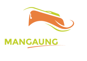 Mangaung Transit – Mangaung Transit, known for its distinctive "Hauweng ...